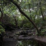 Bulls Bay Preserve Bridge Loop, Florida - 13 Reviews, Map | AllTrails