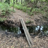 Bulls Bay Preserve Bridge Loop, Florida - 13 Reviews, Map | AllTrails