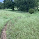 Good Water Loop, Texas - 817 Reviews, Map | AllTrails