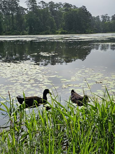 Best Hikes and Trails in Double Lake Recreation Area | AllTrails