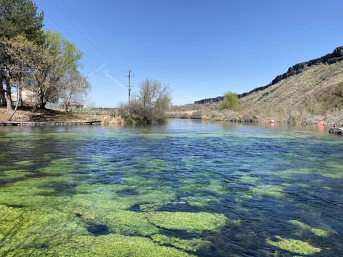 Best Hikes and Trails in Thousand Springs State Park | AllTrails
