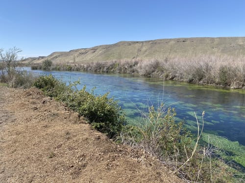 Best Hikes and Trails in Thousand Springs State Park | AllTrails