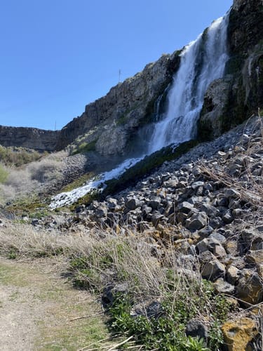 Best Hikes and Trails in Thousand Springs State Park | AllTrails