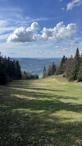 Lélex : les meilleures randonnées en forêt en 2023 | AllTrails