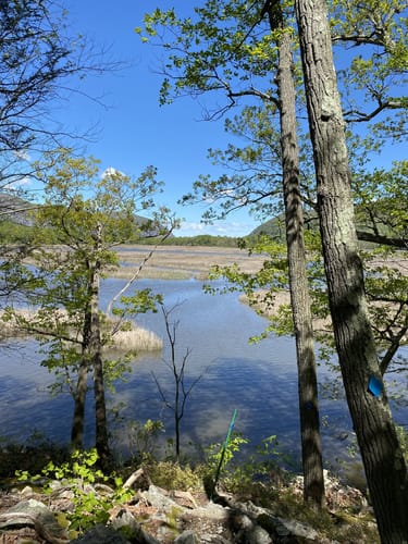 Best Hikes and Trails in Constitution Marsh Audubon Center and ...