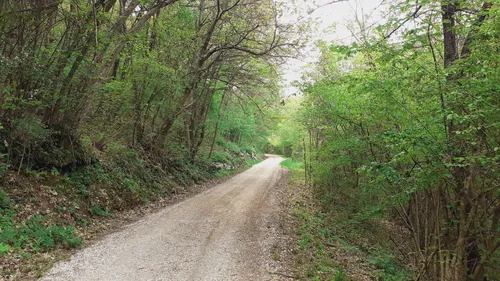 2023 Best Partially Paved Trails in Cornedo Vicentino | AllTrails
