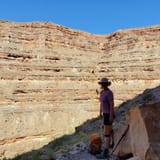 Honaker Trail, Utah - 94 Reviews, Map | AllTrails