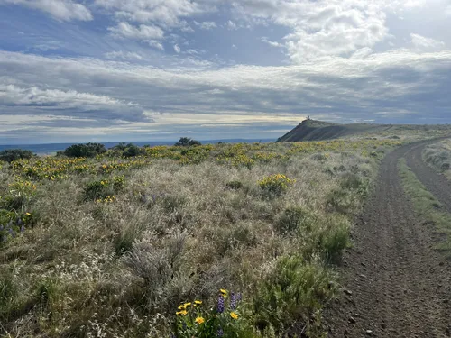 Best Off Road Driving Trails in Mattawa | AllTrails