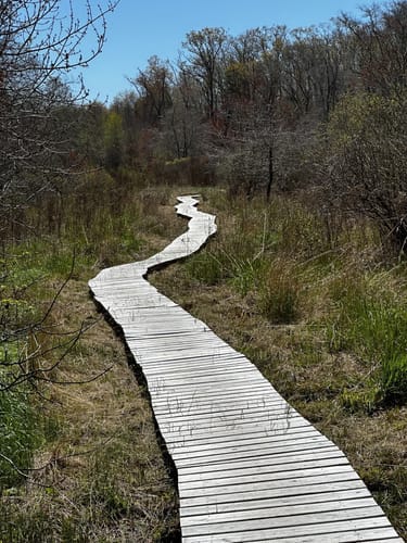 Best Hikes and Trails in Tidmarsh Wildlife Sanctuary | AllTrails