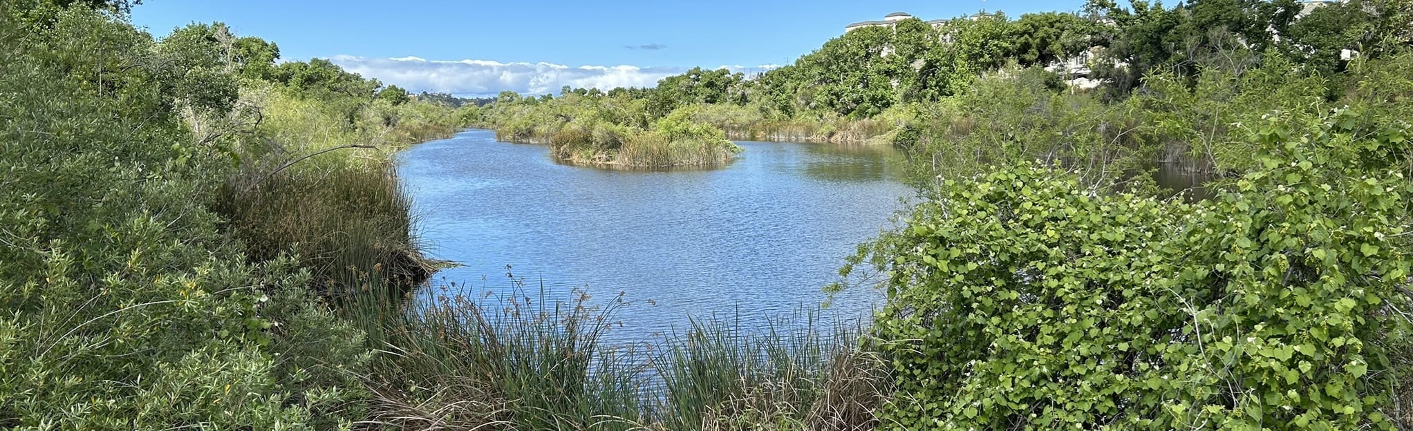 Mission Valley River Trail, California - 251 Reviews, Map | AllTrails