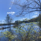 Gates Pond, Massachusetts - 1,038 Reviews, Map | AllTrails