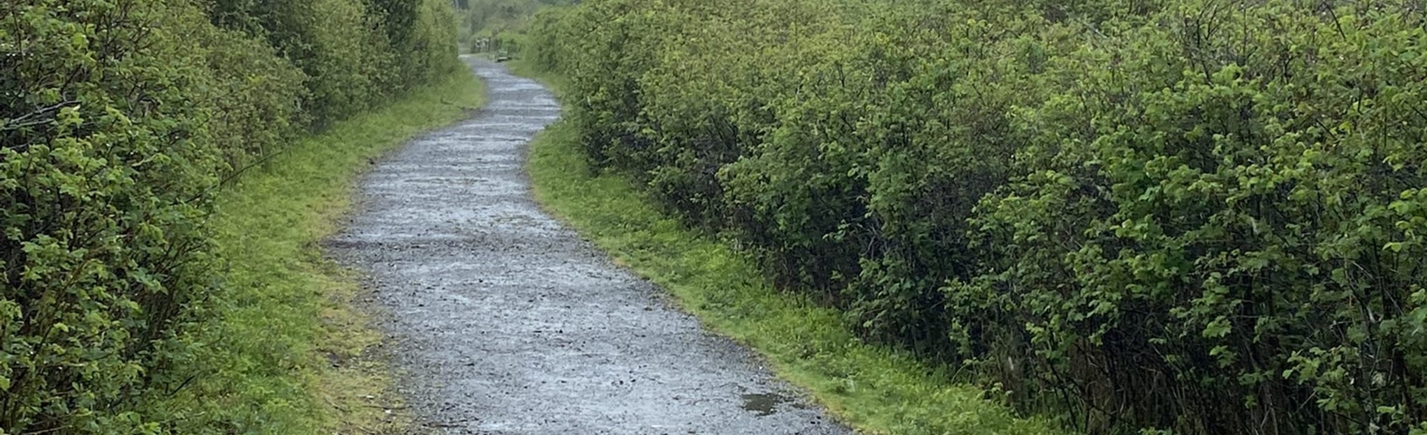 Point No Point Lighthouse and Park Trail, Washington - 260 Reviews, Map ...