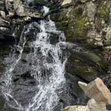 Whitestone Cliffs Trail, Connecticut - 553 Reviews, Map | AllTrails