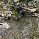 Whitestone Cliffs Trail, Connecticut - 553 Reviews, Map | AllTrails