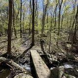 Whitestone Cliffs Trail, Connecticut - 553 Reviews, Map | AllTrails