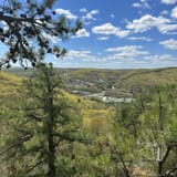 Whitestone Cliffs Trail, Connecticut - 553 Reviews, Map | AllTrails