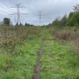 BPA Trail, Washington - 449 Reviews, Map | AllTrails