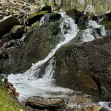Whitestone Cliffs Trail, Connecticut - 553 Reviews, Map | AllTrails