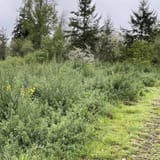 BPA Trail, Washington - 449 Reviews, Map | AllTrails