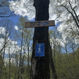 Whitestone Cliffs Trail, Connecticut - 553 Reviews, Map | AllTrails