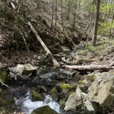 Whitestone Cliffs Trail, Connecticut - 553 Reviews, Map | AllTrails