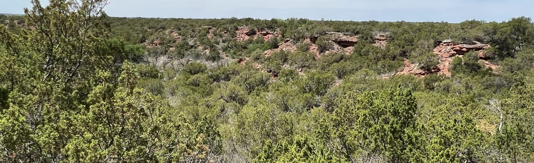 Bull Canyon Short Loop, Texas - 76 Reviews, Map | AllTrails