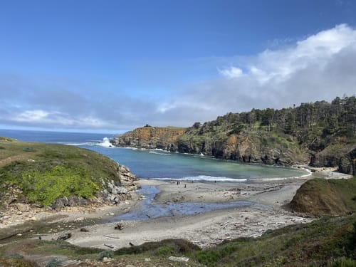 2023 Best Beach Trails in Salt Point State Park | AllTrails