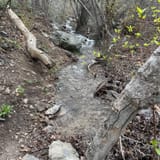Burch Creek Trail, Utah - 777 Reviews, Map | AllTrails