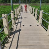 The Boardwalk at Lake Weatherford, Texas - 124 Reviews, Map | AllTrails