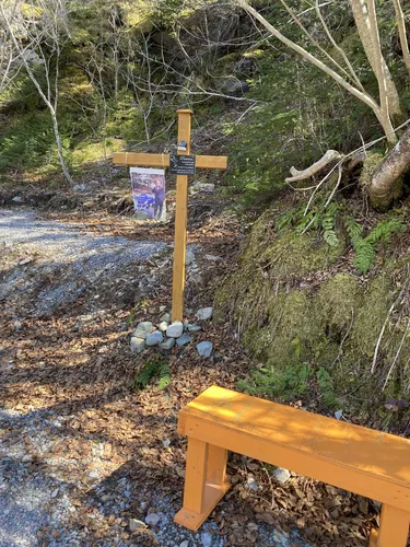 Best Hikes and Trails in Terrenceville | AllTrails