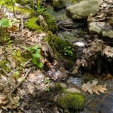 Broad Meadow Brook Trail, Massachusetts - 831 Reviews, Map | AllTrails