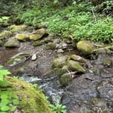 Cosby Nature Trail, Tennessee - 454 Reviews, Map | AllTrails