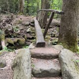 Cosby Nature Trail, Tennessee - 454 Reviews, Map | AllTrails