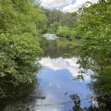 Deep Run Park Trails, Virginia - 1,198 Reviews, Map | AllTrails