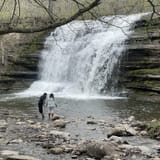 Pixley Falls Nature Trail, New York - 261 Reviews, Map | AllTrails