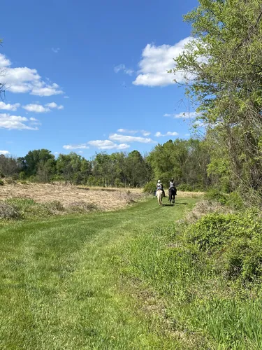 Best Hikes and Trails in Timber Top Farm | AllTrails