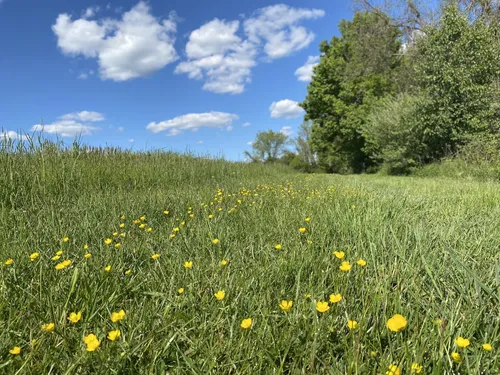 Best Hikes and Trails in Timber Top Farm | AllTrails