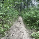 Rock Hollow Trail, Missouri - 924 Reviews, Map | AllTrails