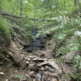 Rock Hollow Trail, Missouri - 924 Reviews, Map | AllTrails