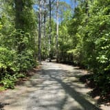 Deppe Park Trail, North Carolina - 42 Reviews, Map | AllTrails