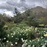 Red Butte Gardens Small Loop, Utah - 289 Reviews, Map | AllTrails
