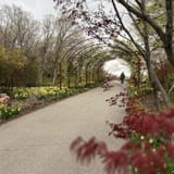 Red Butte Gardens Small Loop, Utah - 289 Reviews, Map | AllTrails