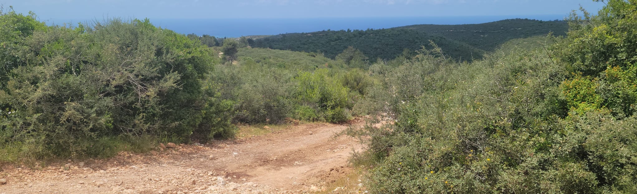 Carmel Forest, Mount Shokqef and Mount Arkan Loop, Haifa, Israel - 7 ...