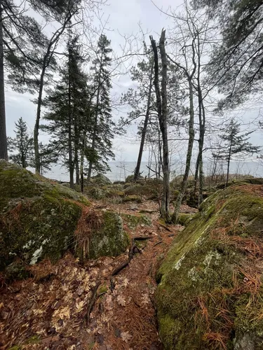 Escanaba River State Forest: de 10 beste wandelingen en routes | AllTrails