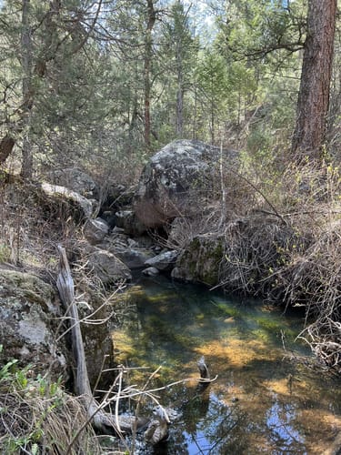 Best Hikes and Trails in Button Rock Preserve | AllTrails