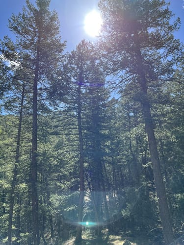 Best Hikes and Trails in Button Rock Preserve | AllTrails