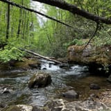 Coleman River Trail, Georgia - 138 Reviews, Map | AllTrails