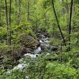 Coleman River Trail, Georgia - 138 Reviews, Map | AllTrails