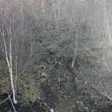 Amethyst Cove Trail, Nova Scotia, Canada - 278 Reviews, Map | AllTrails