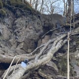 Amethyst Cove Trail, Nova Scotia, Canada - 278 Reviews, Map | AllTrails